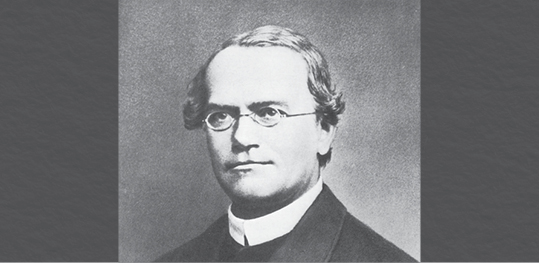 January 2020 - Manward Press